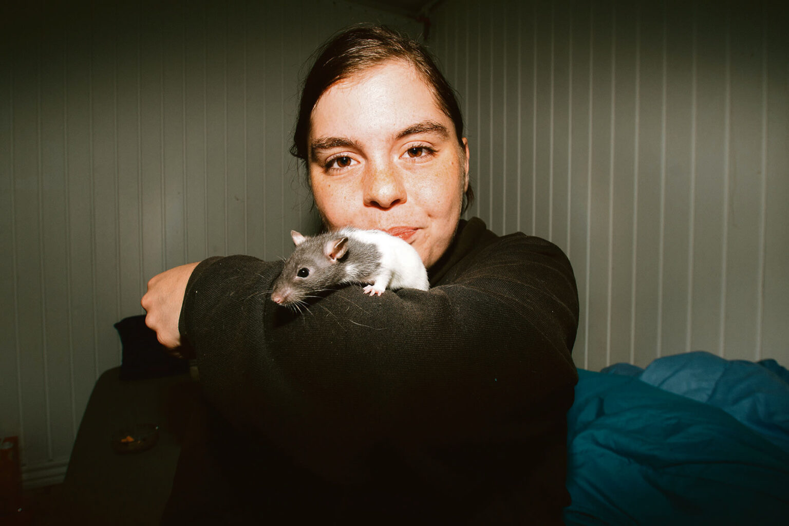 Ny i Hus Forbi - Hus Forbi